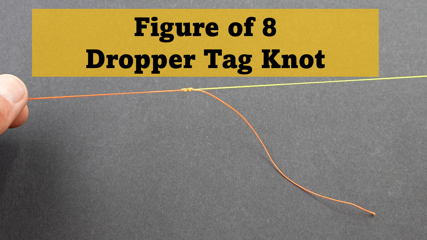 Tying a dropper tag with the Figure of 8 Knot – Tactical Fly Fisher