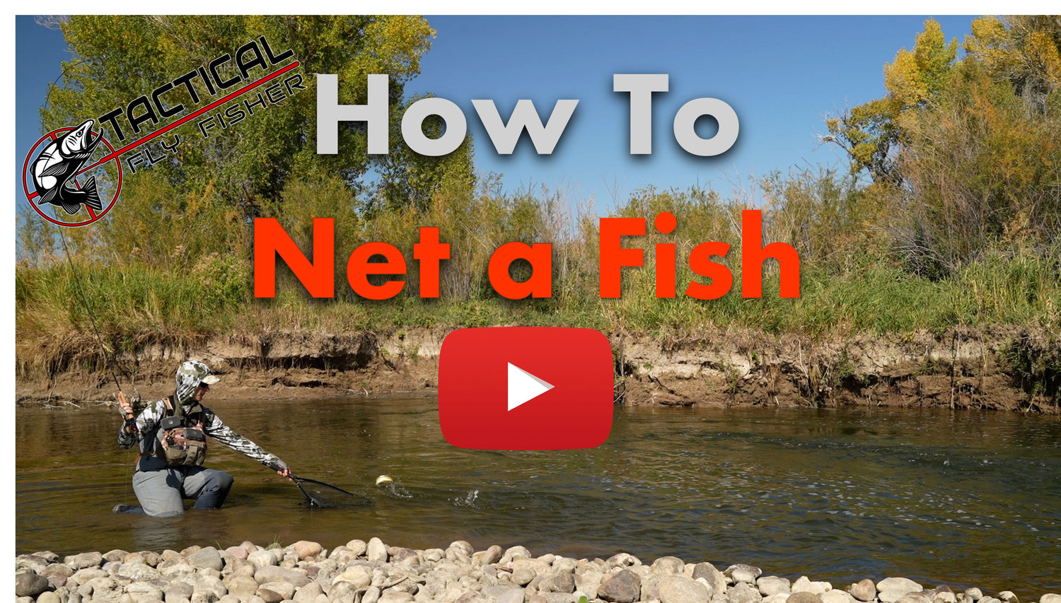 YouTube Video: How to Net a Fish Easily – Tactical Fly Fisher