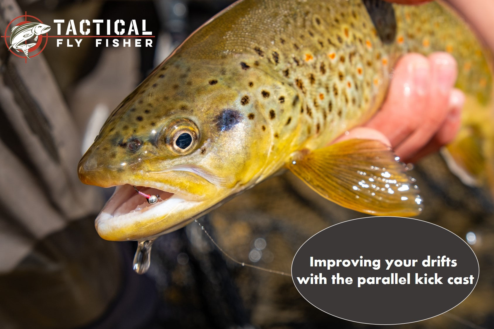 Improving Your Drifts with the Parallel Kick Cast – Tactical Fly Fisher
