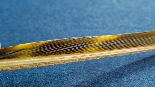 Magpie Materials Premium Wild Turkey Biots – Tactical Fly Fisher