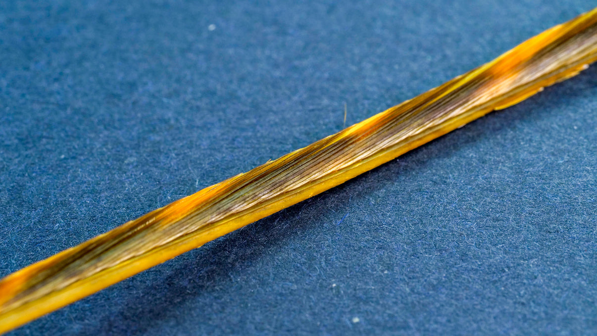 Magpie Materials Premium Wild Turkey Biots – Tactical Fly Fisher