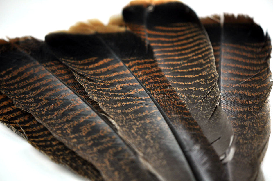 Feathers & Synthetic Feathers – Page 3 – Tactical Fly Fisher